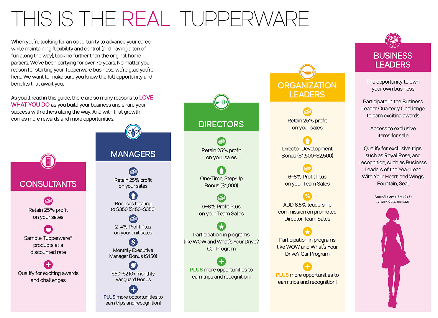 Tupperware Compensation Revealed: Plans, Examples & SWOT Breakdown